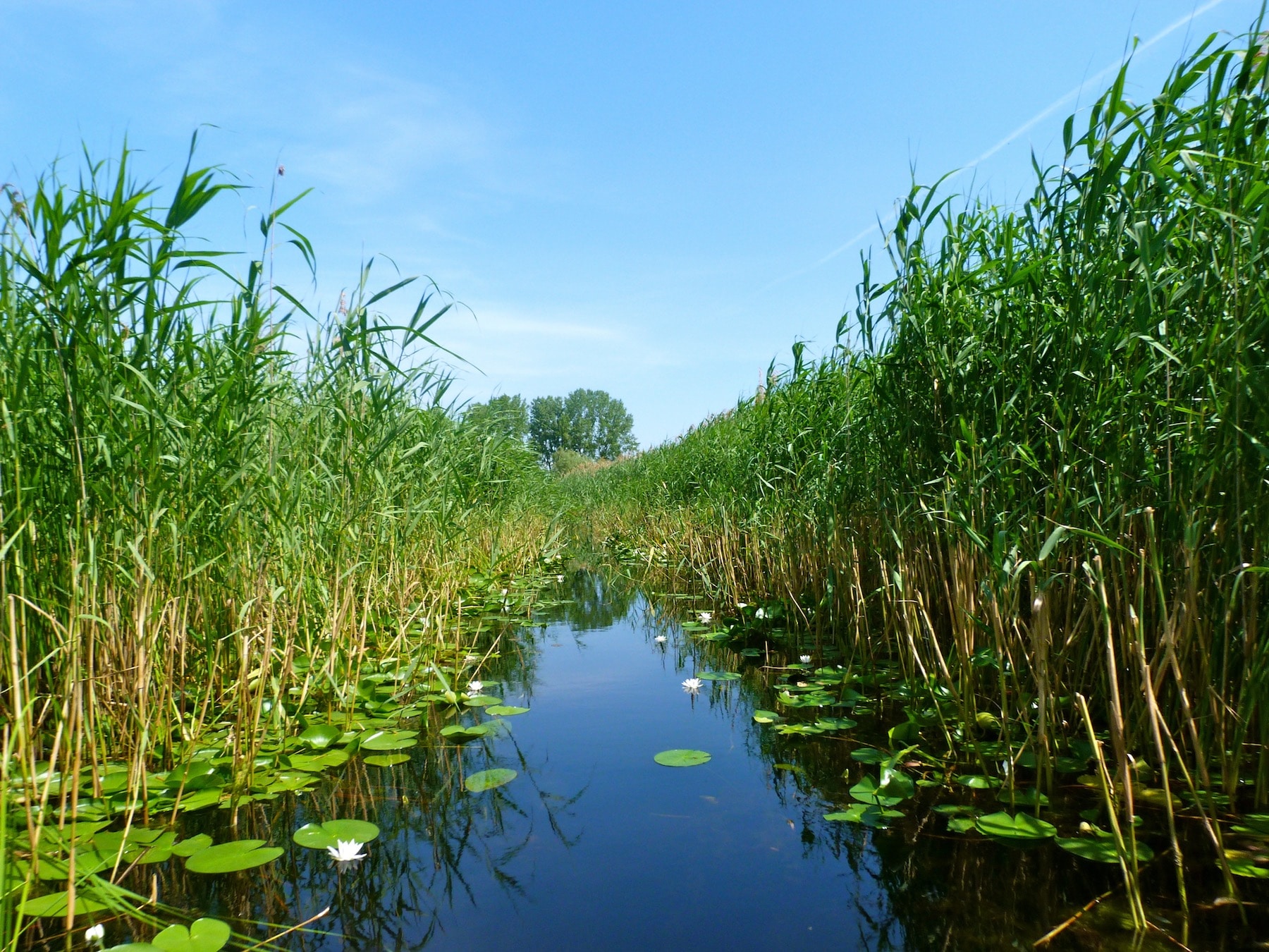 A Guide to Romania’s Danube Delta | Untravelled Paths