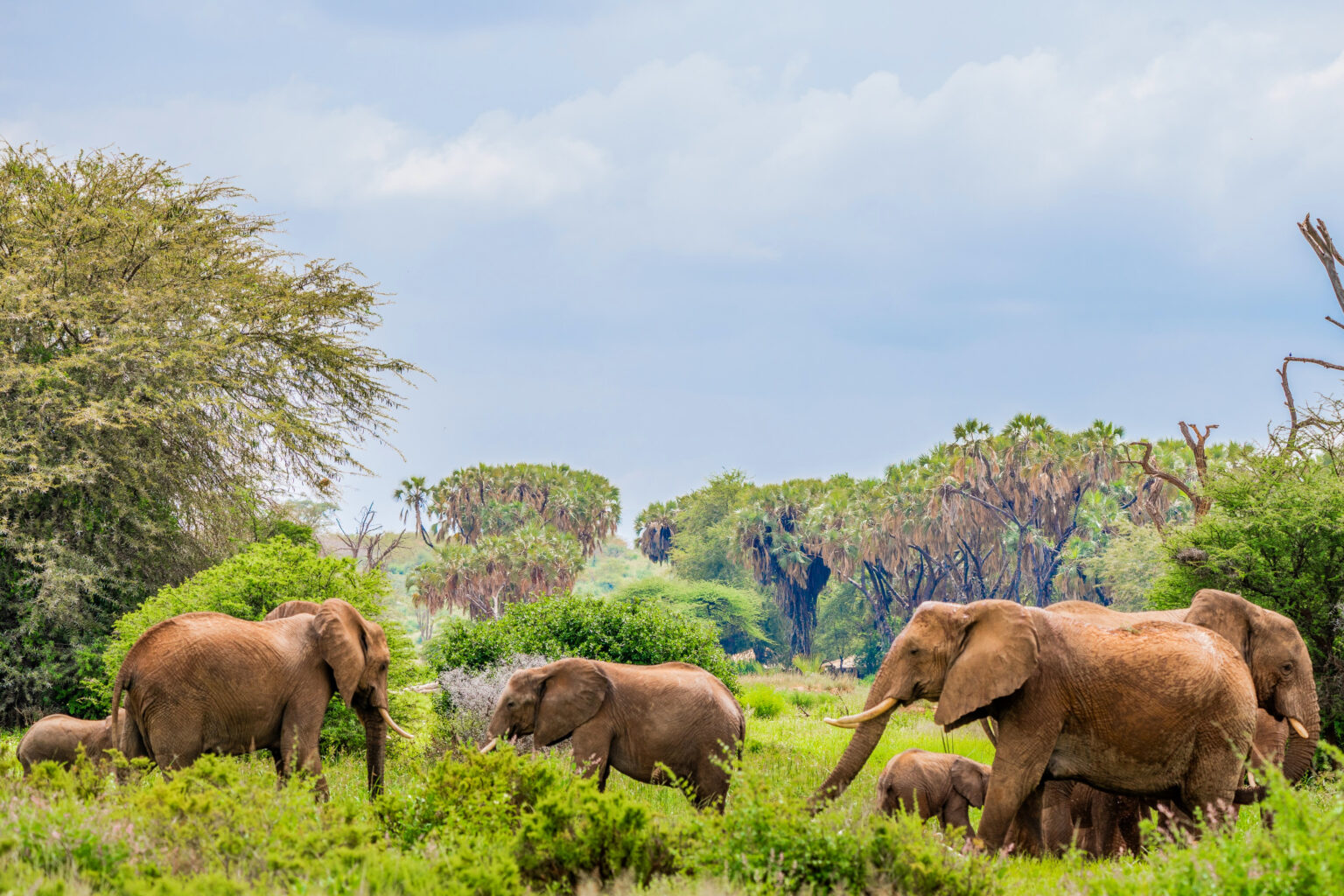The Breathtaking Beauty of Nature | Untravelled Paths